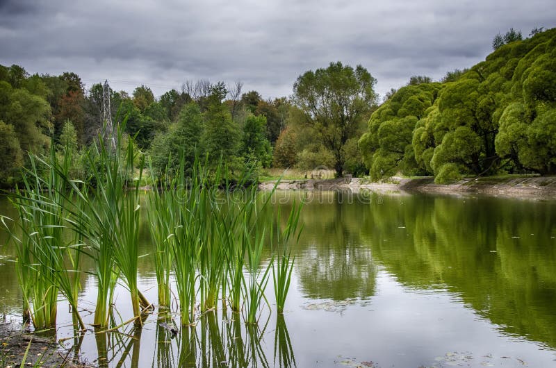 Side of the pond stock photo. Image of silence, lake - 59262856