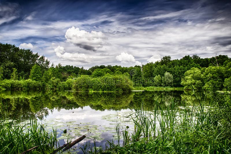 Side of the pond stock photo. Image of grass, tranquil - 59171136