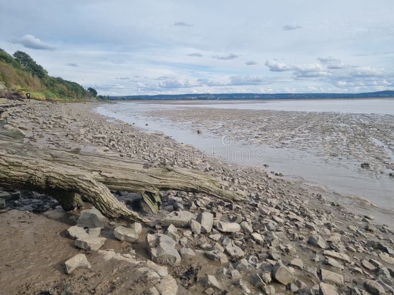 Side of River Severn in UK ðŸ‡¬ðŸ‡§ Stock Image - Image of tree, river ...