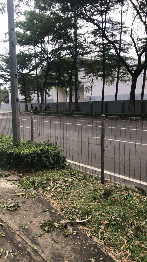 Shaved Bush Stock Photos - Free & Royalty-Free Stock Photos from Dreamstime