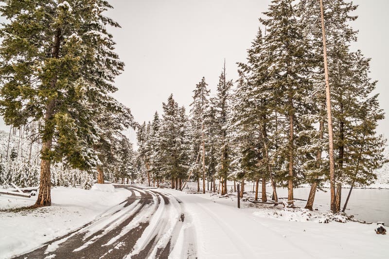Side Road in Yellowstone National Park on a Spring Day Stock Image ...