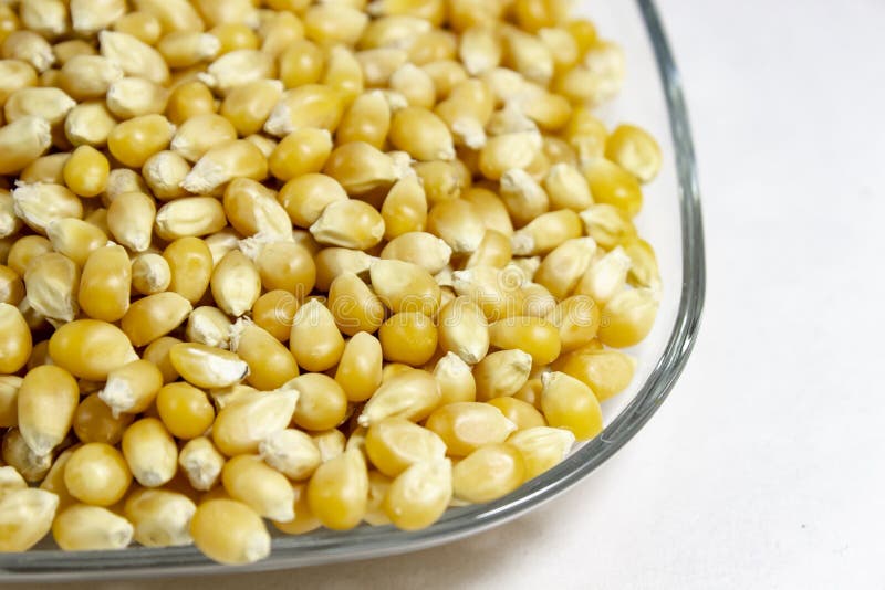 Side Shoot of Corn Seeds in the Transparent Reflective Cup Stock Image ...