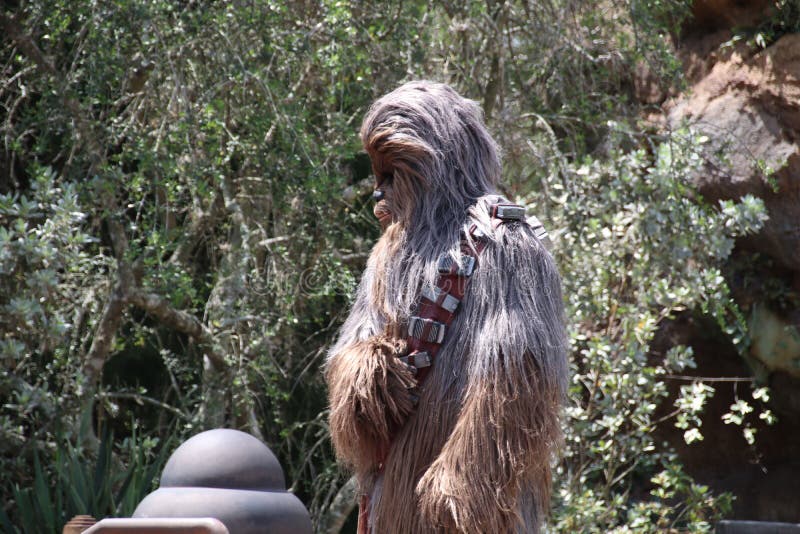 Side Shot of Chewbacca for Galaxy S Edge in Disney S Hollywood Studios ...