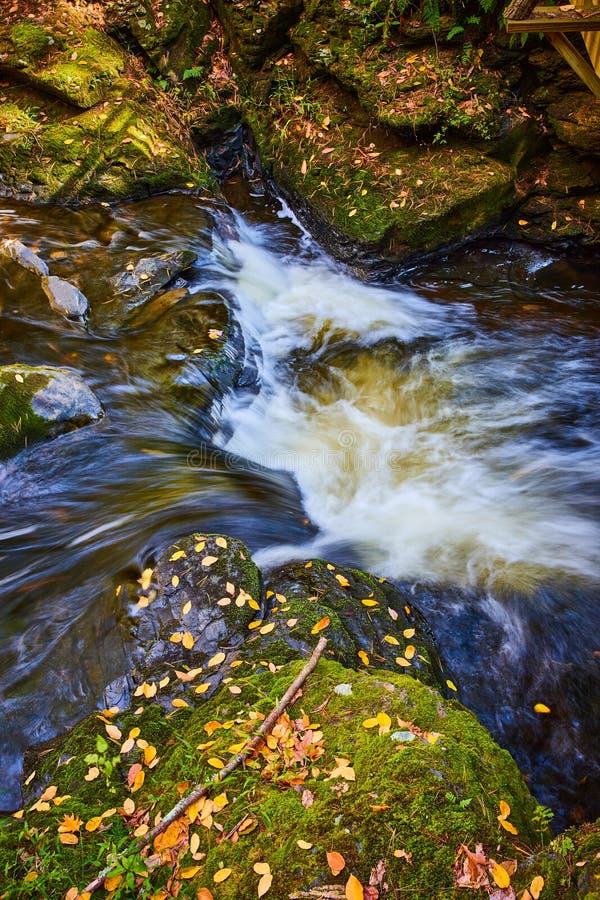 Side of Small Cascading Falls with Mossy Rocks Covered in Fall Leaves ...