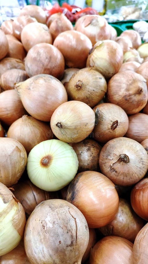 A Side Up View of the Piling Bombay Onions Stock Photo - Image of plant ...
