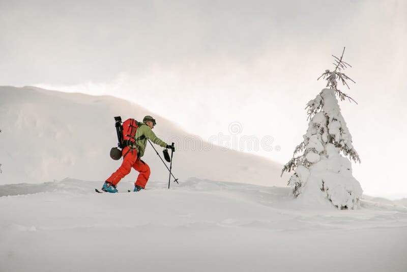 Side View of Active Skier Climbing the Hill on Splitboard. Ski Touring ...