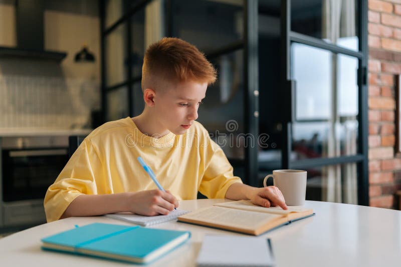 Side View of Focused Schoolboy Studying at Home Doing Homework Sitting at Table Under Light of ...