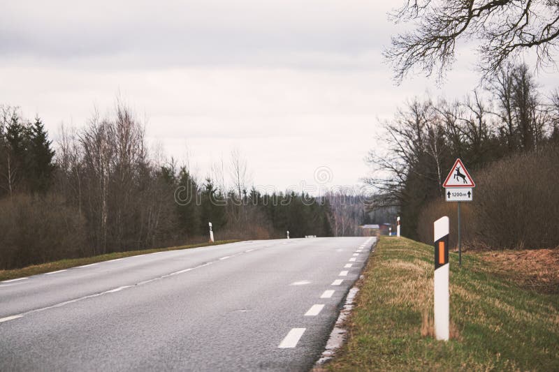 Side View of a Asphalt Road with Lines without a Sidewalk and Road ...