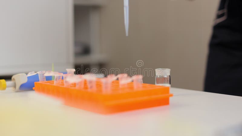 Assistant Transferring Solution To Sample Tubes with Pipette Stock ...