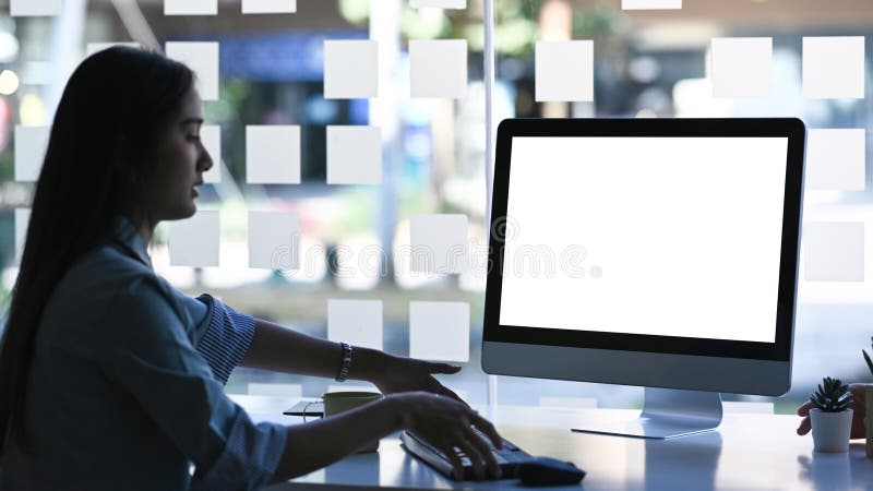 Attractive Asian Businesswoman Working with Computer in Modern Office ...