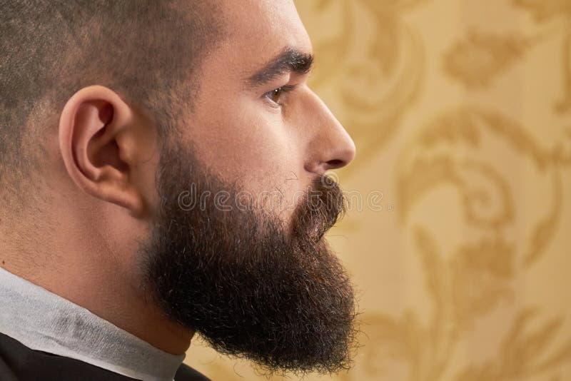 Side view of bearded face. stock image. Image of hair - 100151219
