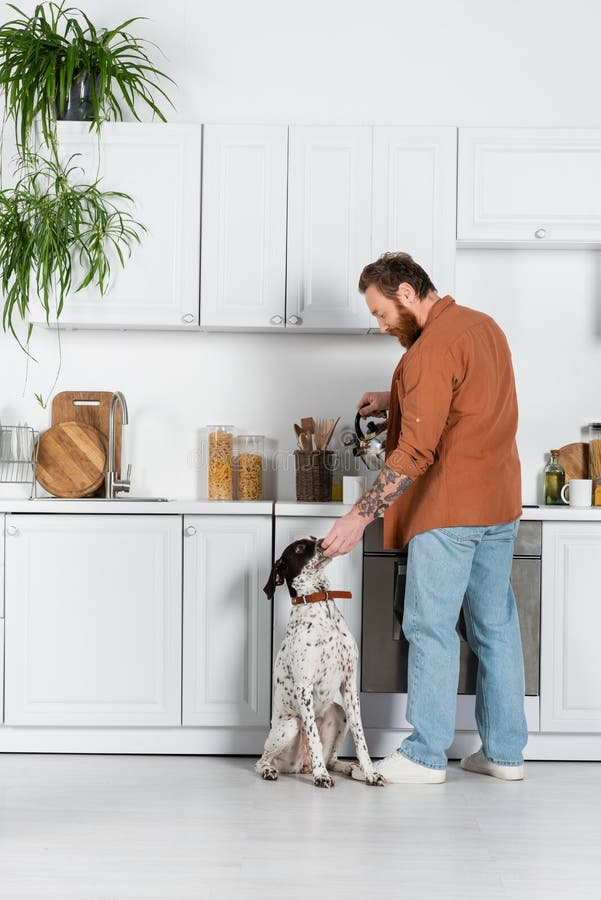 Side View of Bearded Man Feeding Stock Photo - Image of blur, animal ... Side View of Bearded Man Feeding Stock Photo - Image of blur, animal ...