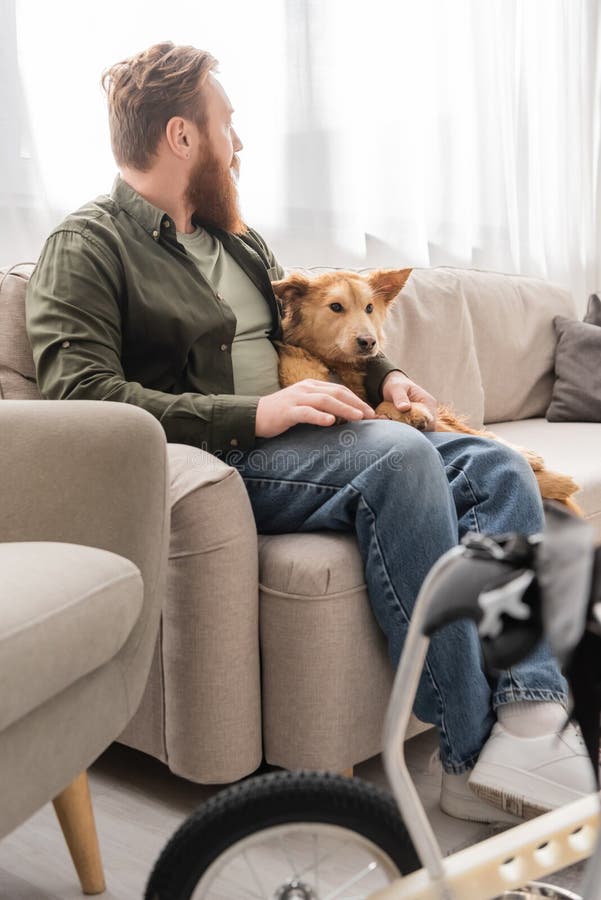 Side View of Bearded Man Sitting Stock Image - Image of indoors ... Side View of Bearded Man Sitting Stock Image - Image of indoors ...