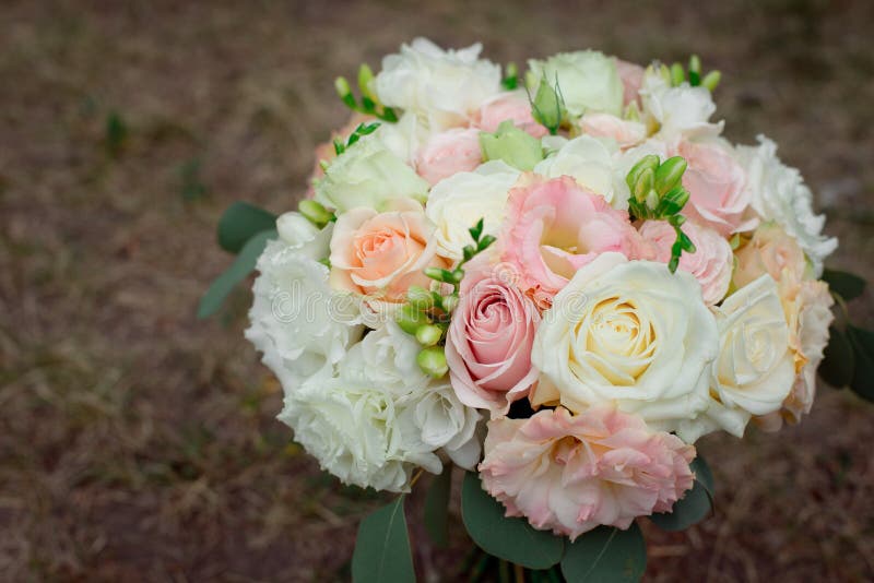 Side View of a Beautiful Delicate Wedding Bouquet of Cream Roses and ...