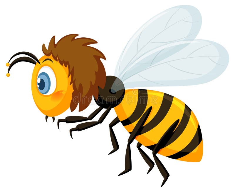 Side View of a Bee in Cartoon Style Stock Vector - Illustration of ...