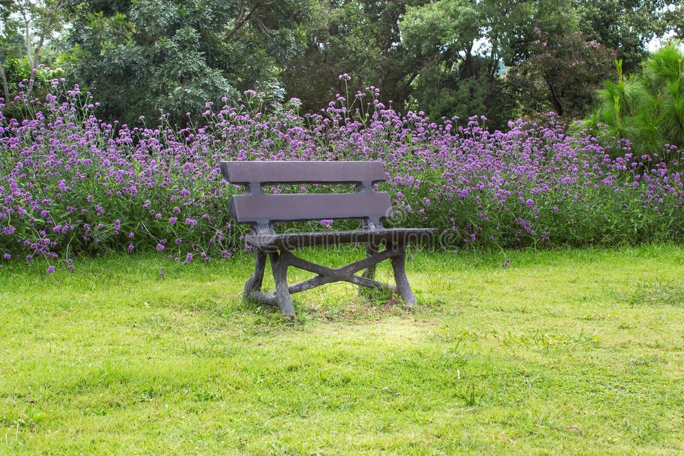 Side View of Bench in Garden Stock Image - Image of ensconced ...