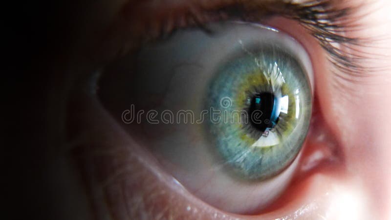 Side View Blue Green Human Eye Stock Photos - Free & Royalty-Free Stock ...