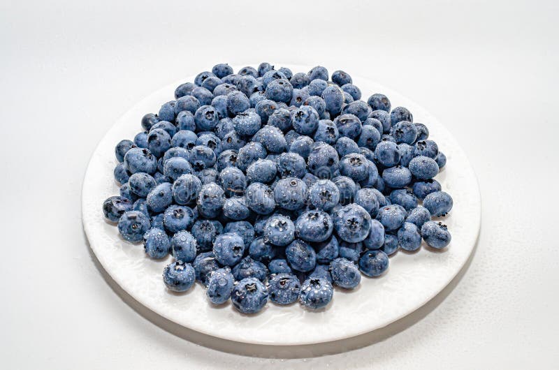 Side View of Blueberries on White Plate, Isolated on White. Water Drops ...