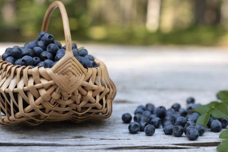 Side View of Blueberry`s in Wicker Basket on Wooden Table. Stock Photo ...