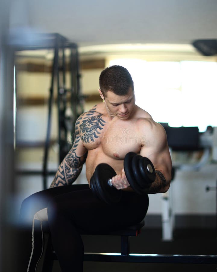 Bodybuilder Performing Exercises in Dumbbells in the Gym. Stock Photo ...