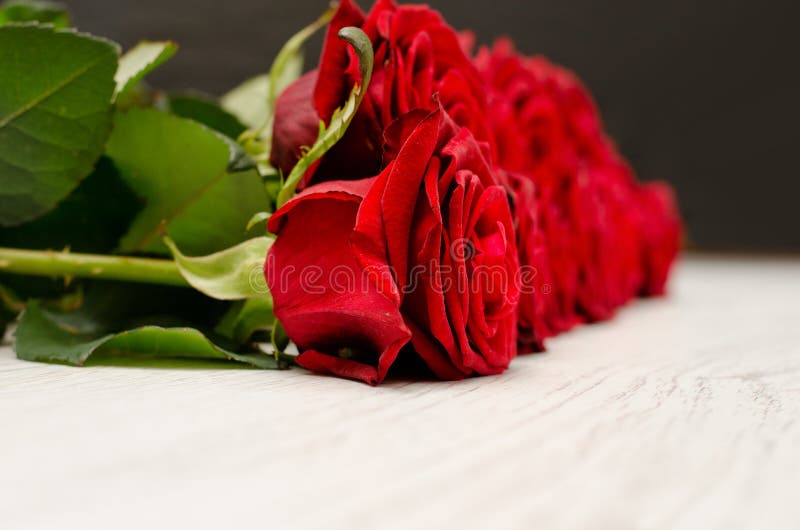 Side View of a Bouquet of Red Roses, Close-up, White Background Stock ...
