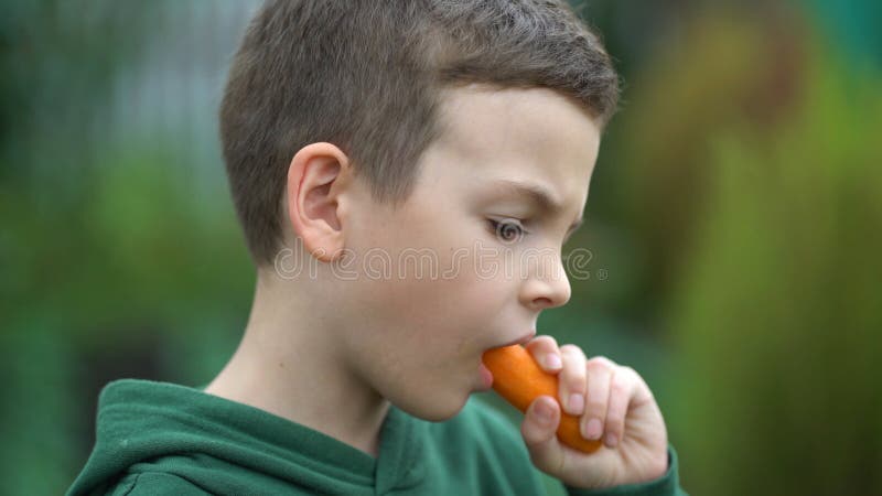 Side View Boy Eating Raw Carrots in the Backyard Stock Photo - Image of ...