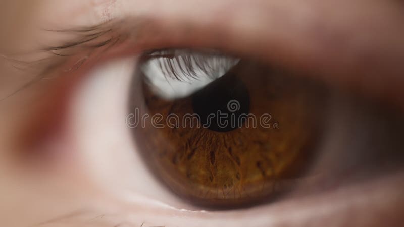 Side View of a Brown Eye Opening. Slow Motion Stock Video - Video of ...