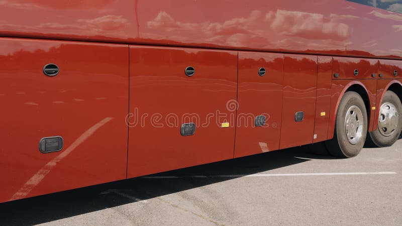 The Side View Captures the Unique Design of Bus Cargo Compartments ...