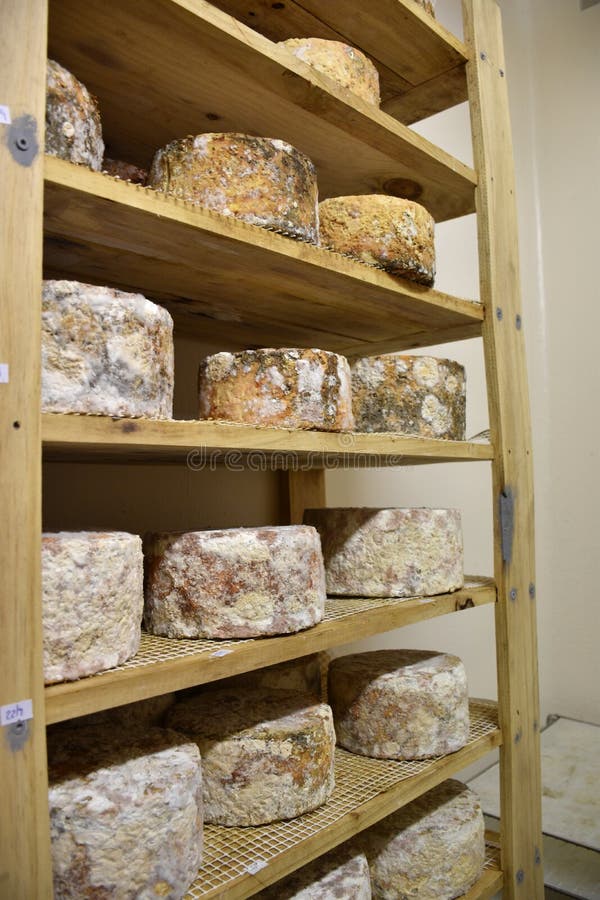 Side View of the Cheese Maturing Chamber in Different Phases. Stock ...