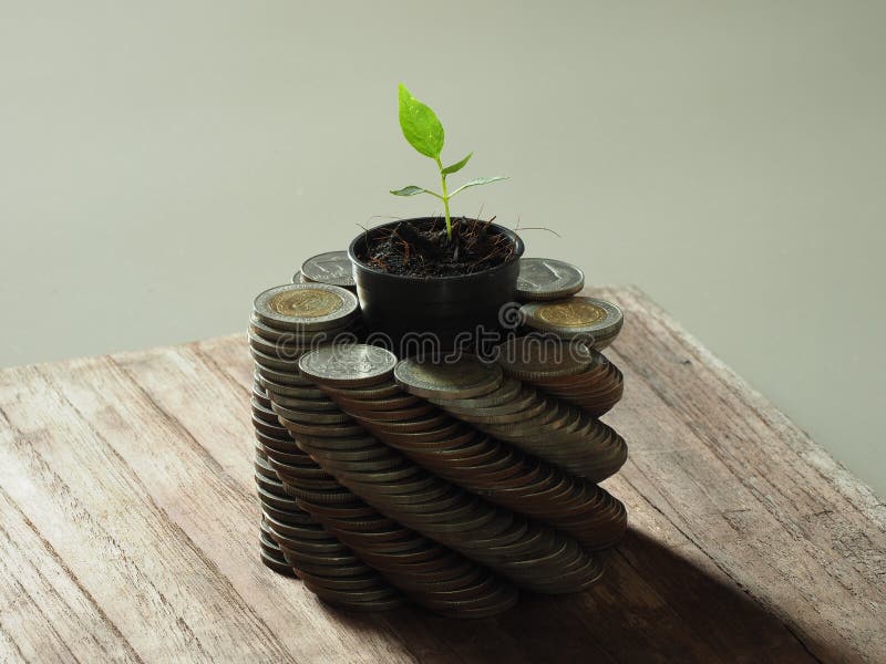 Side View of the Coins Stacked in a Circle with a Sprouting Sapling ...