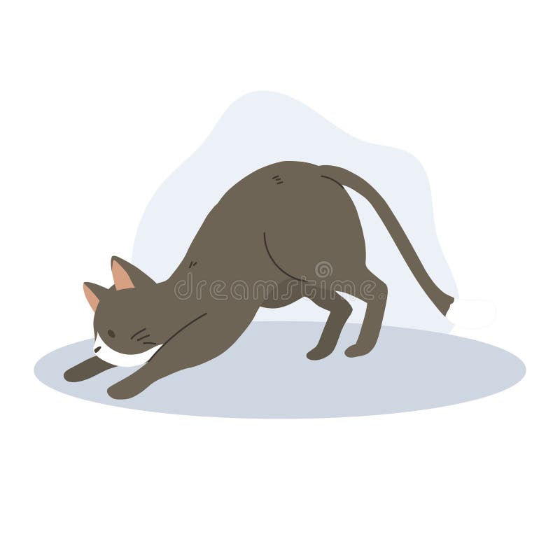 Side View of a Cute Kitten Crouching or Stretching. Kawaii Cat in ...