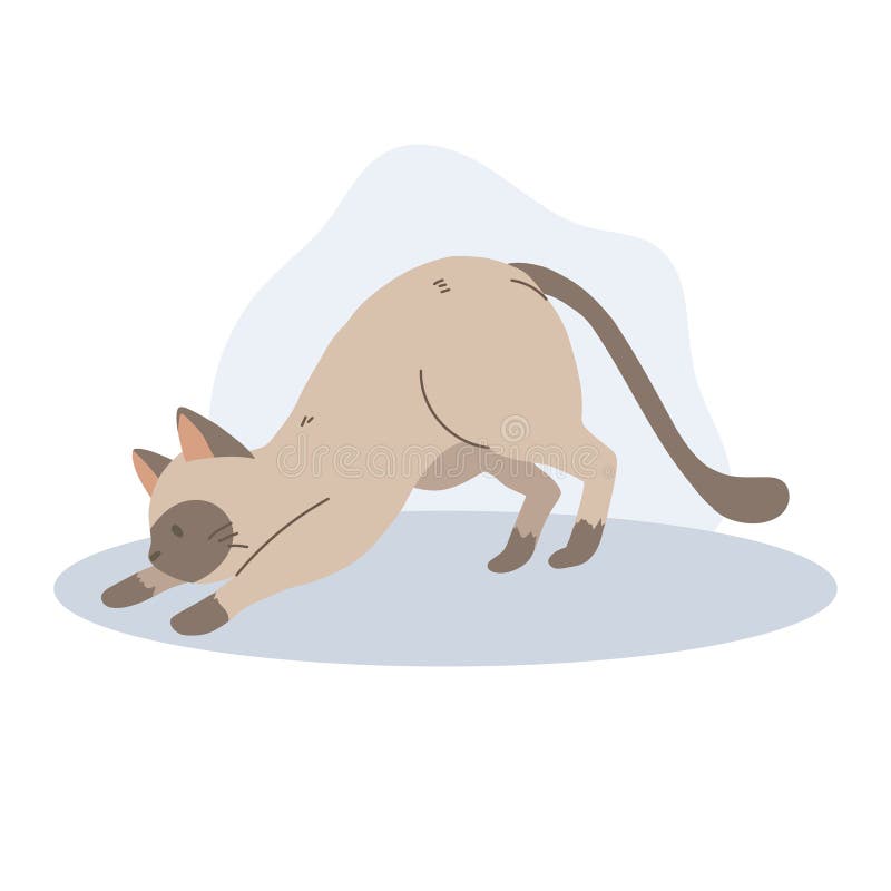 Side View of a Cute Kitten Crouching or Stretching. Kawaii Cat in ...
