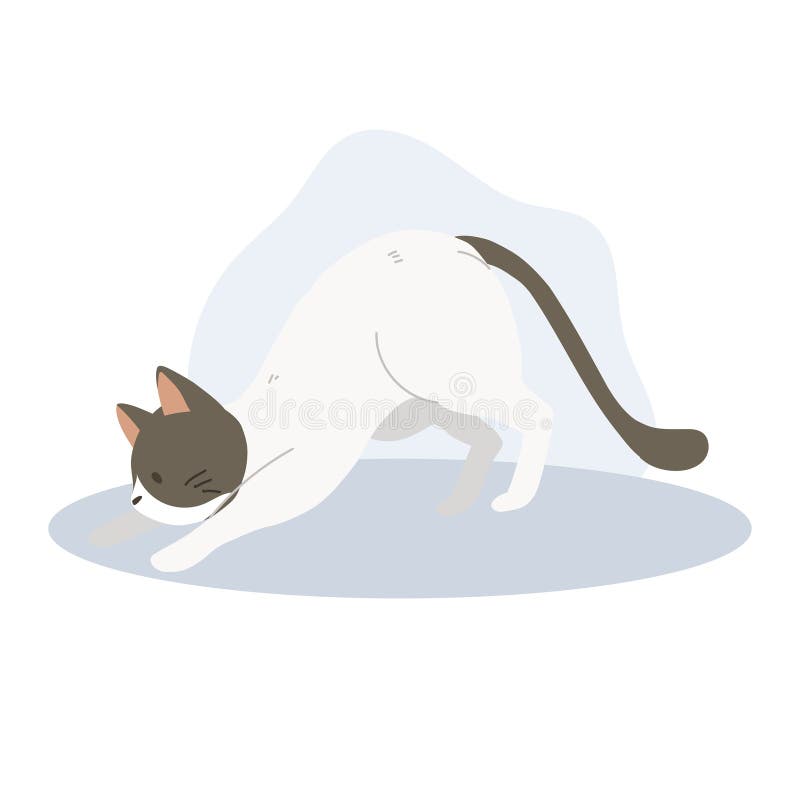 Side View of a Cute Kitten Crouching or Stretching. Kawaii Cat in ...