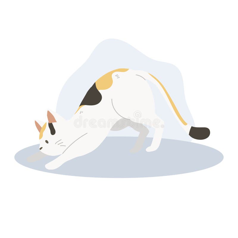 Side View of a Cute Kitten Crouching or Stretching. Kawaii Cat in ...