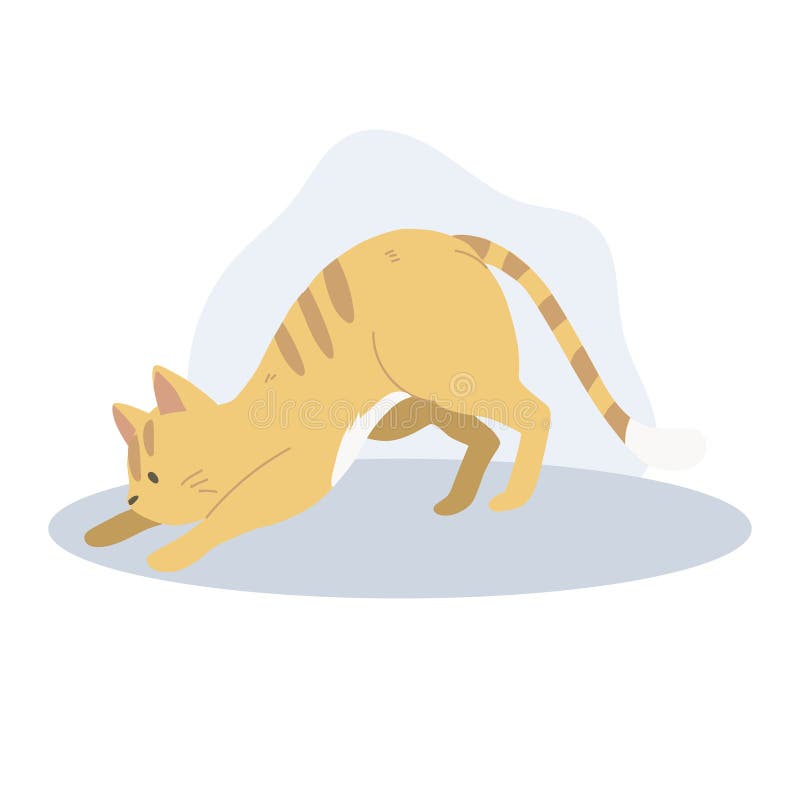 Side View of a Cute Kitten Crouching or Stretching. Kawaii Cat in ...