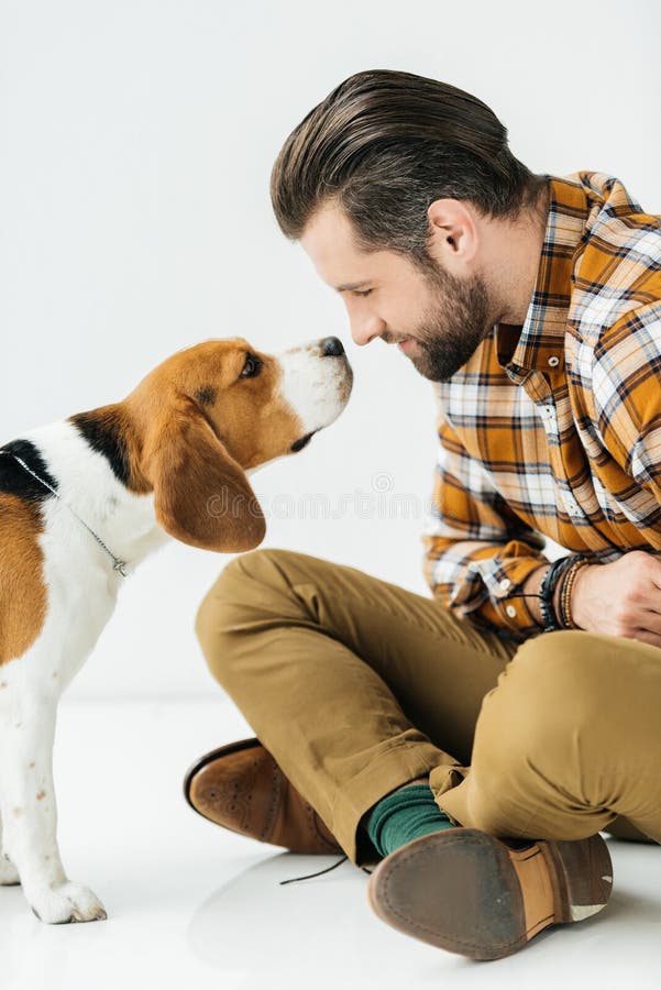 Side view of dog sniffing stock photo. Image of view - 119822396