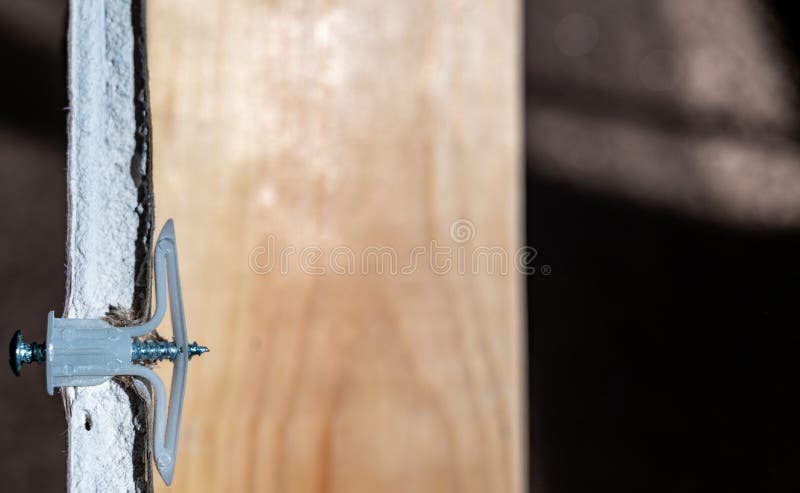 Side View of a Drywall Mount Anchor and Stock Photo - Image of dowel ...