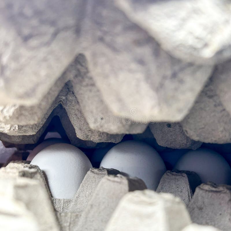 Side view of a egg carton editorial photography. Image of roasted ...