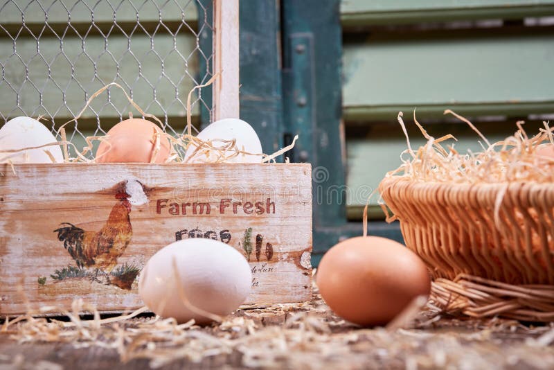 Side View of Eggs with Egg Box Stock Photo - Image of uncooked, group ...
