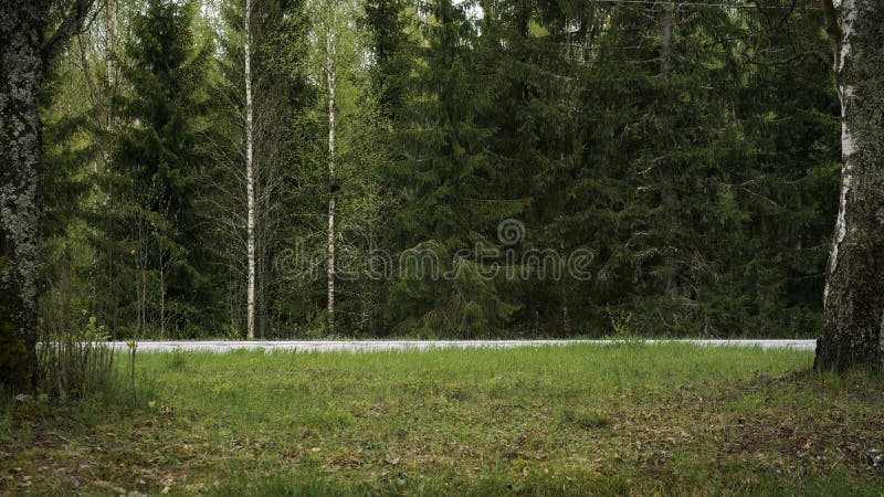 Side View of an Empty Countryside Road in Finland Stock Image - Image ...