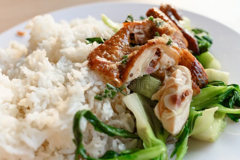 Side View Fast Food of Steamed Chicken with Vegetable and Rice Stock ...