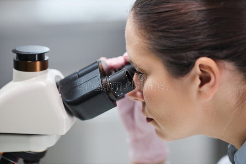 Side View Female Scientist Looking in Microscope in Laboratory Stock ...
