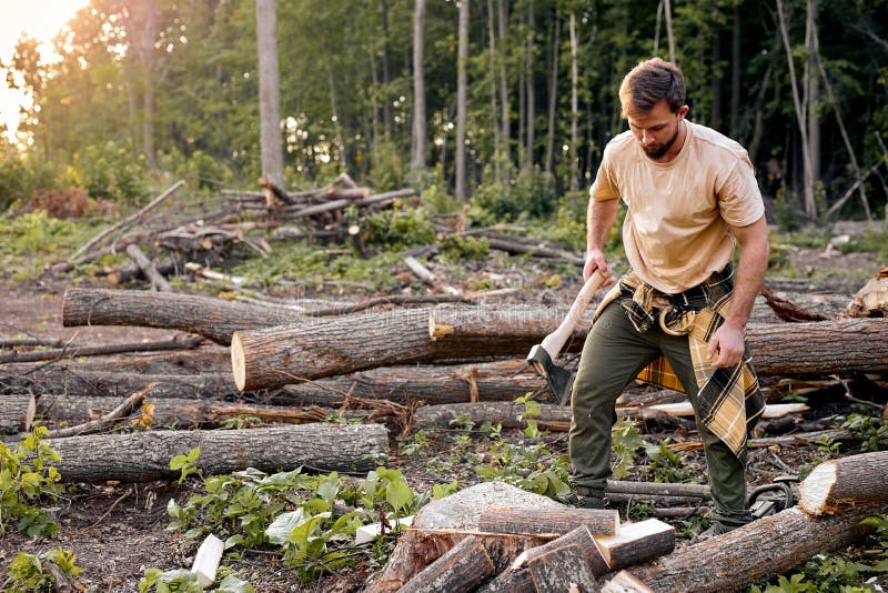 Side View on Focused Male Lumberman Working with Logs Chopping Trees ...