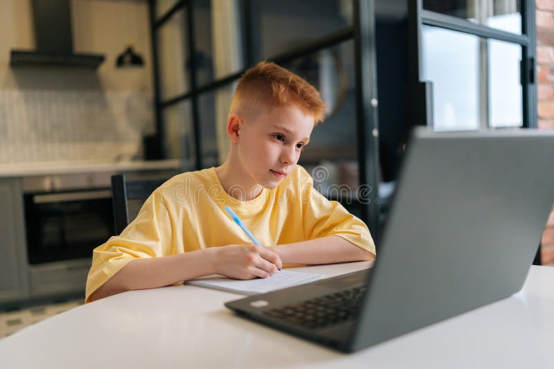 Side View of Focused Pupil Boy Learning Online Using Laptop Computer ...