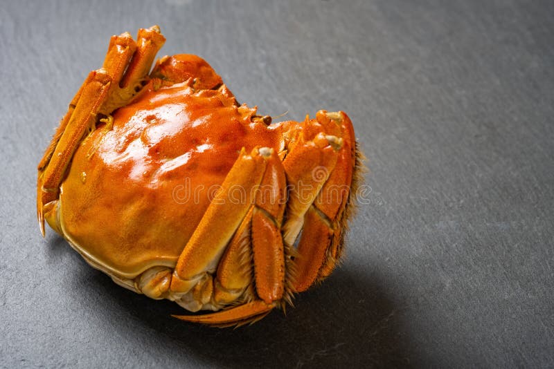 Side View Fresh Cooked Crab Stock Image - Image of invertebrates ...