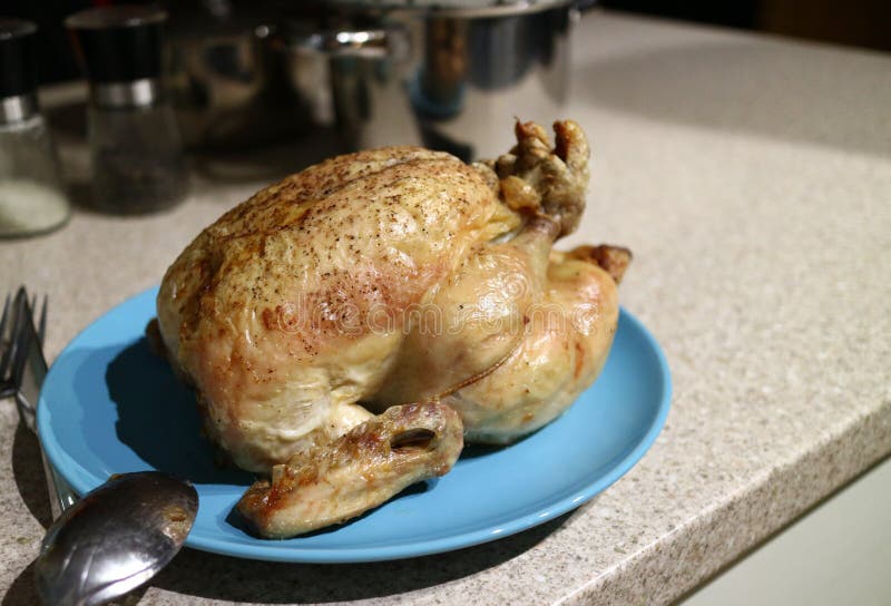 Side View of a Freshly Roasted Chicken Stock Photo - Image of dinner ...