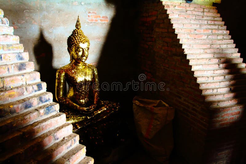 The Side View of Golden Buddha Statue in the Shadow Stock Image - Image ...