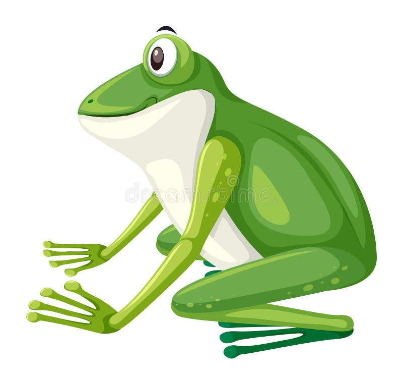 Side view of green frog stock vector. Illustration of graphic - 126755827