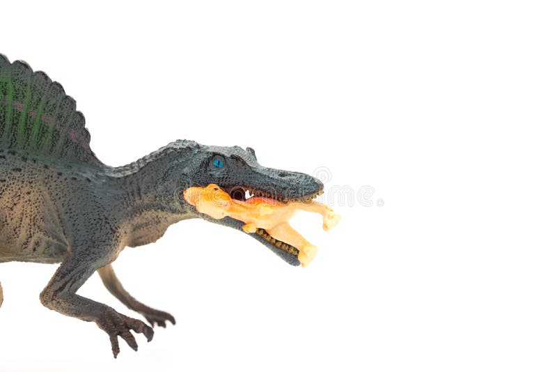 Top View Spinosaurus Skeleton with Shadow on White Background Stock ...