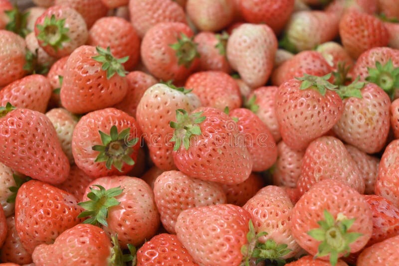 Side View of Groups Pink Strawberries on a Market Stall Stock Image ...